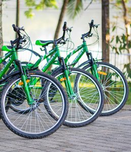 Waters Spring – A Luxury Hotel Near Mahawali River, Kandy